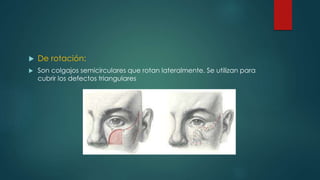 Vascularización cutanea y clasificación de los colgajos | PPTX