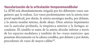IRRIGACION DE LA ARTICULACION TEMPOROMANDIBULAR (ATM) | PPTX