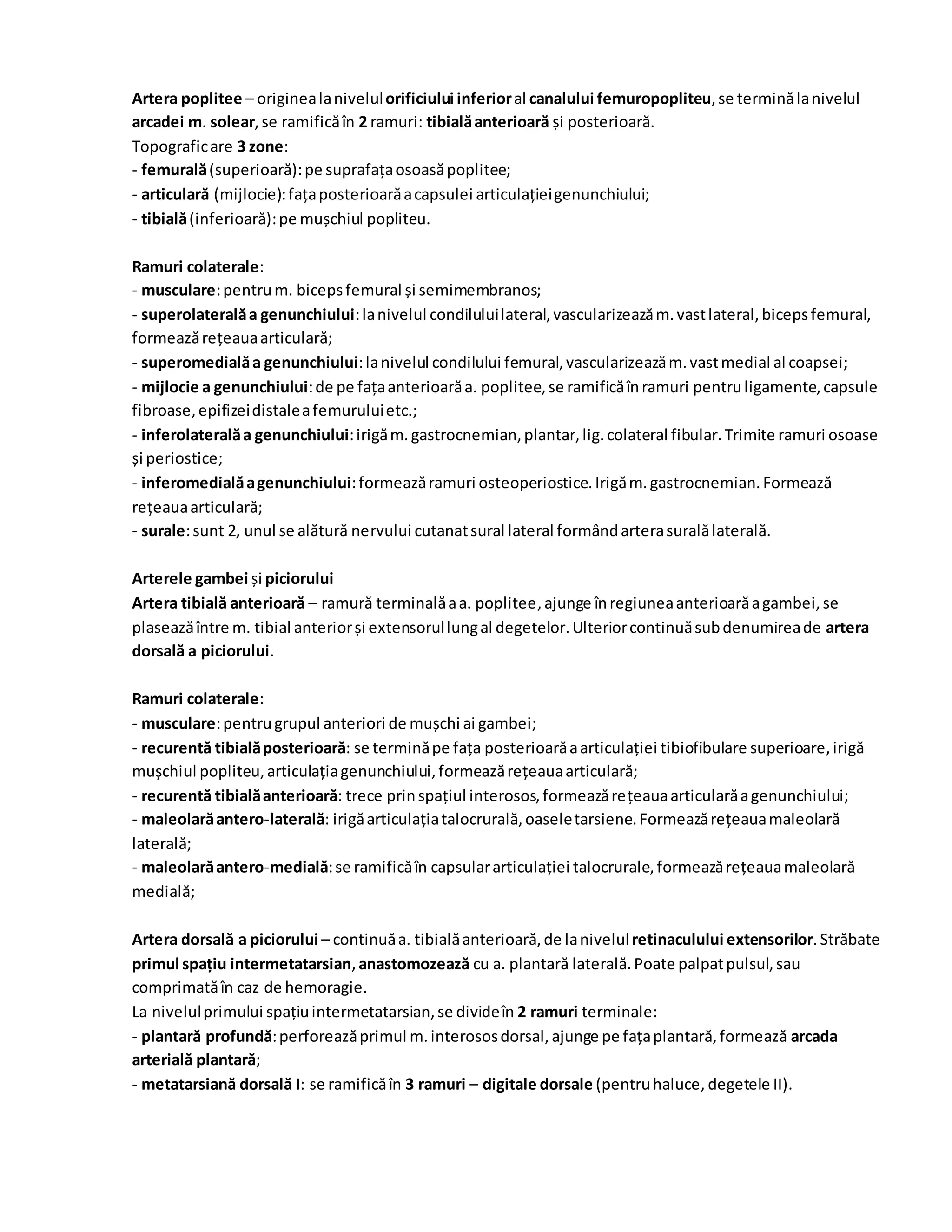 Anatomie: vascularizația membrului inferior | DOCX