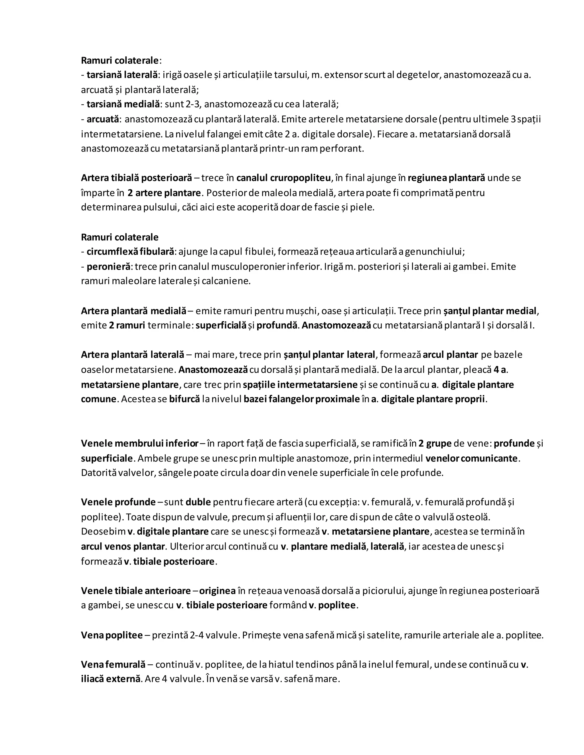 Anatomie: vascularizația membrului inferior | DOCX