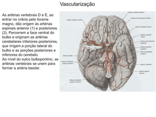 Estudo da Vascularização do Sistema Nervoso.pdf