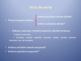 anatomia dos vasos do torax e abdome Vascularização do Tronco 2.pdf