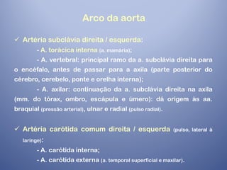 anatomia dos vasos do torax e abdome Vascularização do Tronco 2.pdf
