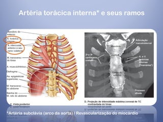 anatomia dos vasos do torax e abdome Vascularização do Tronco 2.pdf