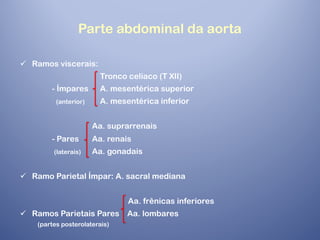 anatomia dos vasos do torax e abdome Vascularização do Tronco 2.pdf