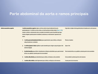 anatomia dos vasos do torax e abdome Vascularização do Tronco 2.pdf
