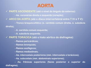 anatomia dos vasos do torax e abdome Vascularização do Tronco 2.pdf