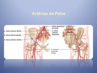 anatomia dos vasos do torax e abdome Vascularização do Tronco 2.pdf