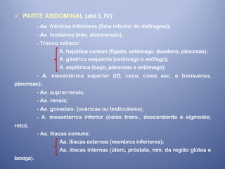anatomia dos vasos do torax e abdome Vascularização do Tronco 2.pdf
