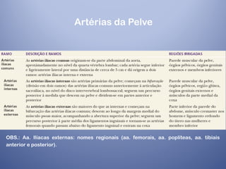 anatomia dos vasos do torax e abdome Vascularização do Tronco 2.pdf