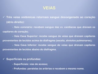 anatomia dos vasos do torax e abdome Vascularização do Tronco 2.pdf
