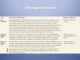 anatomia dos vasos do torax e abdome Vascularização do Tronco 2.pdf