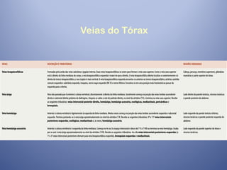 anatomia dos vasos do torax e abdome Vascularização do Tronco 2.pdf