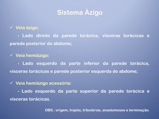 anatomia dos vasos do torax e abdome Vascularização do Tronco 2.pdf