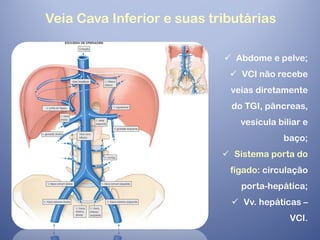 anatomia dos vasos do torax e abdome Vascularização do Tronco 2.pdf