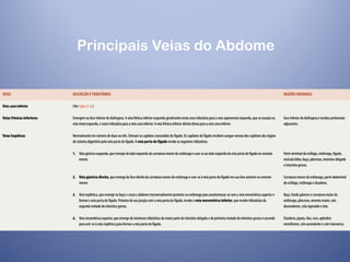 anatomia dos vasos do torax e abdome Vascularização do Tronco 2.pdf