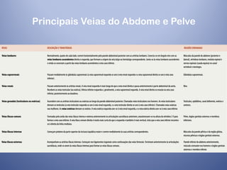 anatomia dos vasos do torax e abdome Vascularização do Tronco 2.pdf