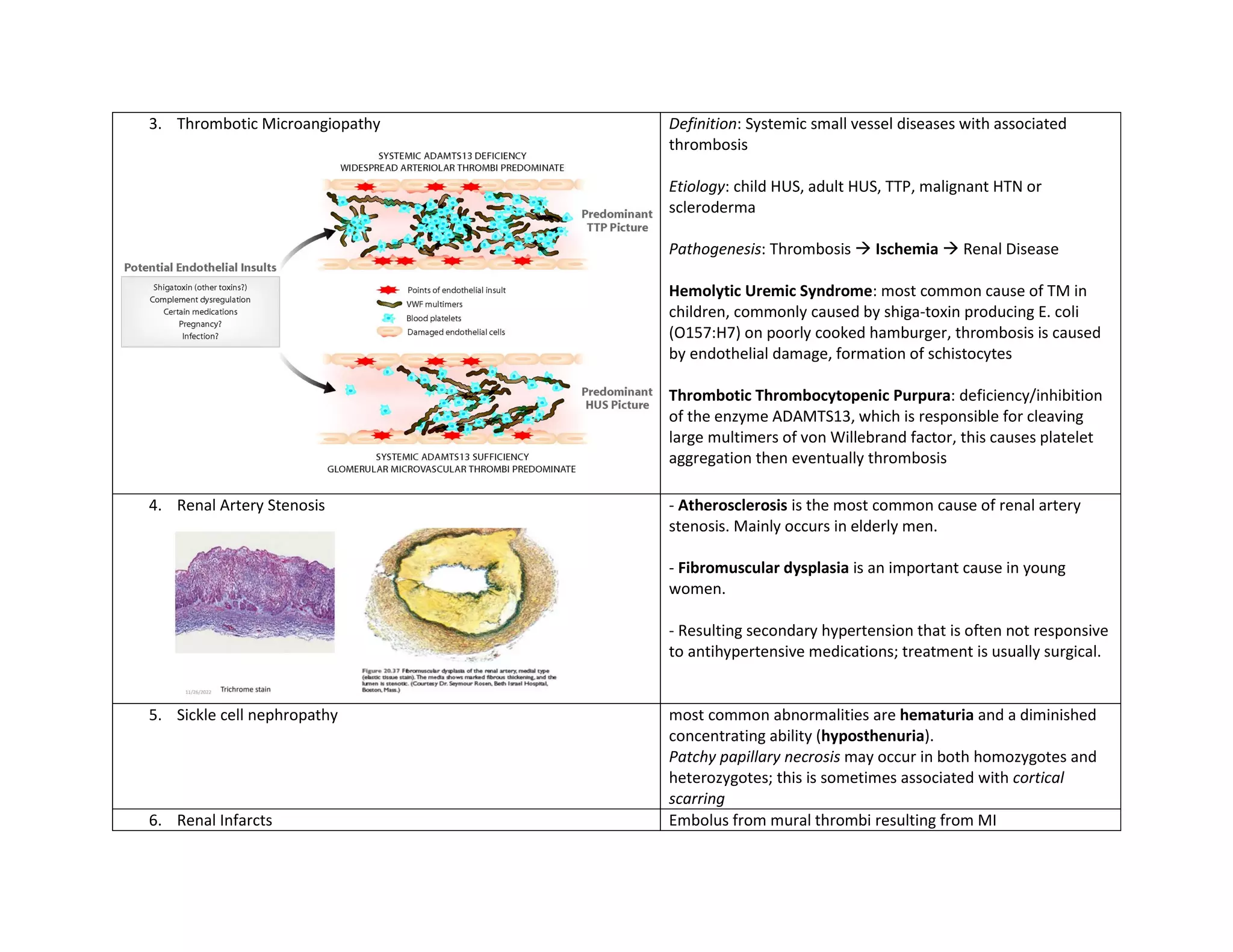 Vascular Kidney Diseases.pdf
