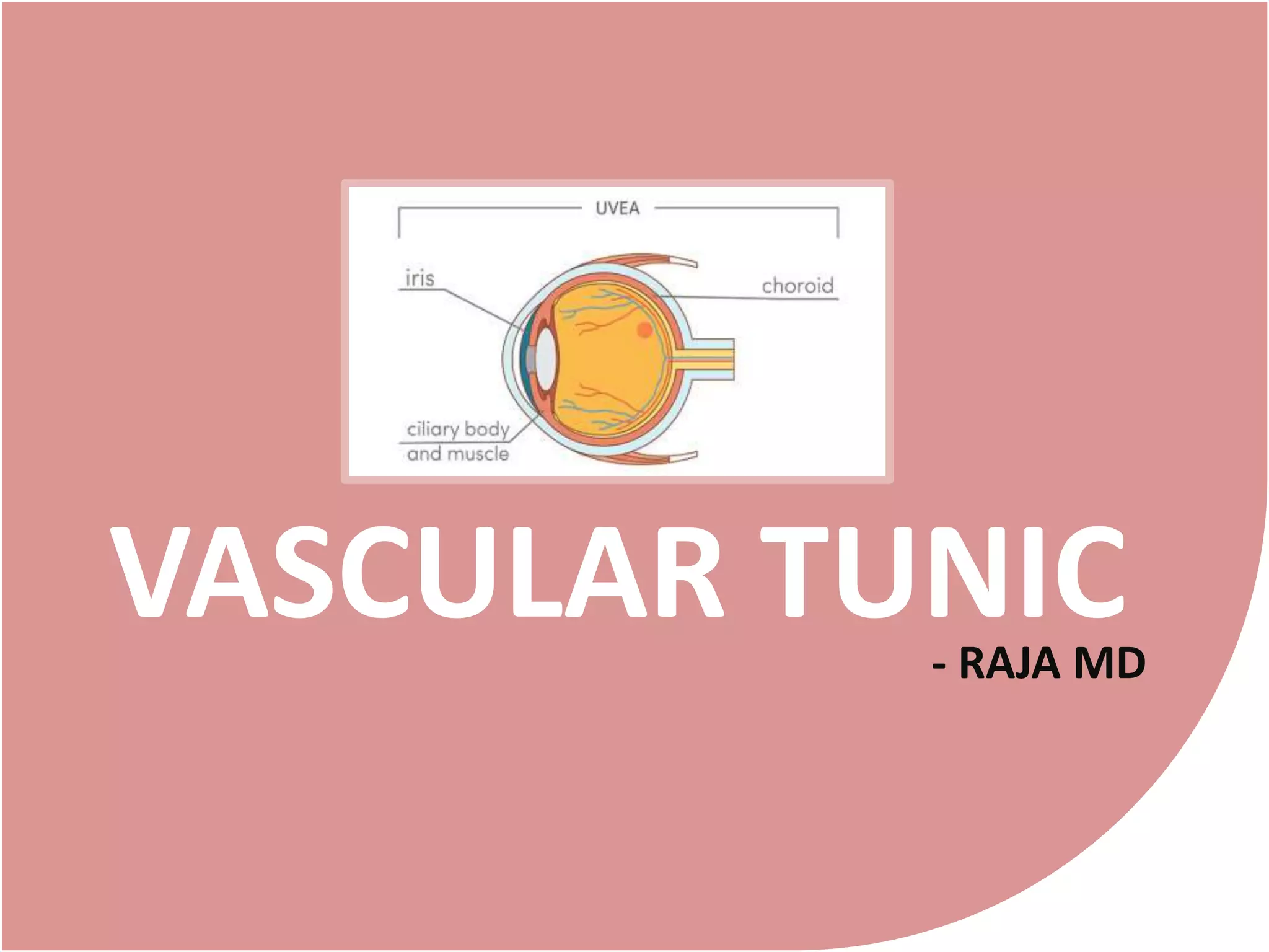 Vascular layer of the eye | PPTX