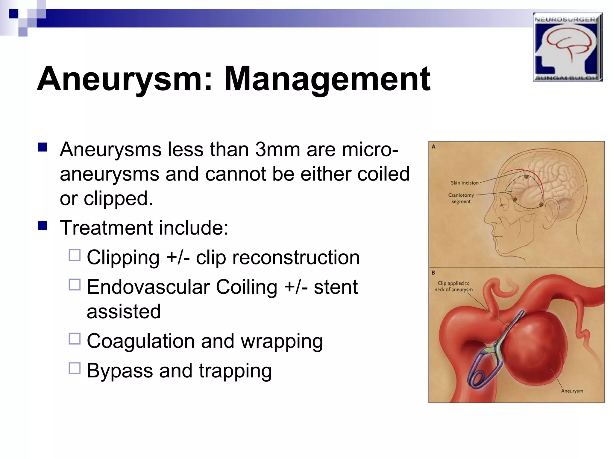 Vascular Lesions of the Brain | PPT