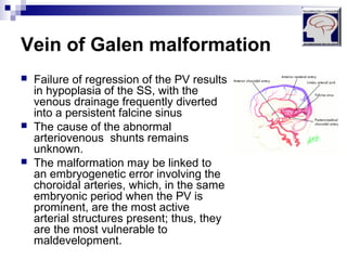 Vascular Lesions of the Brain | PPT