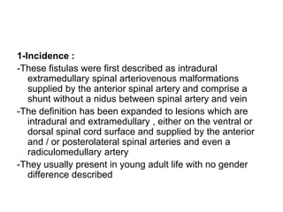 Vascular malformations of the spinal cord | PPT