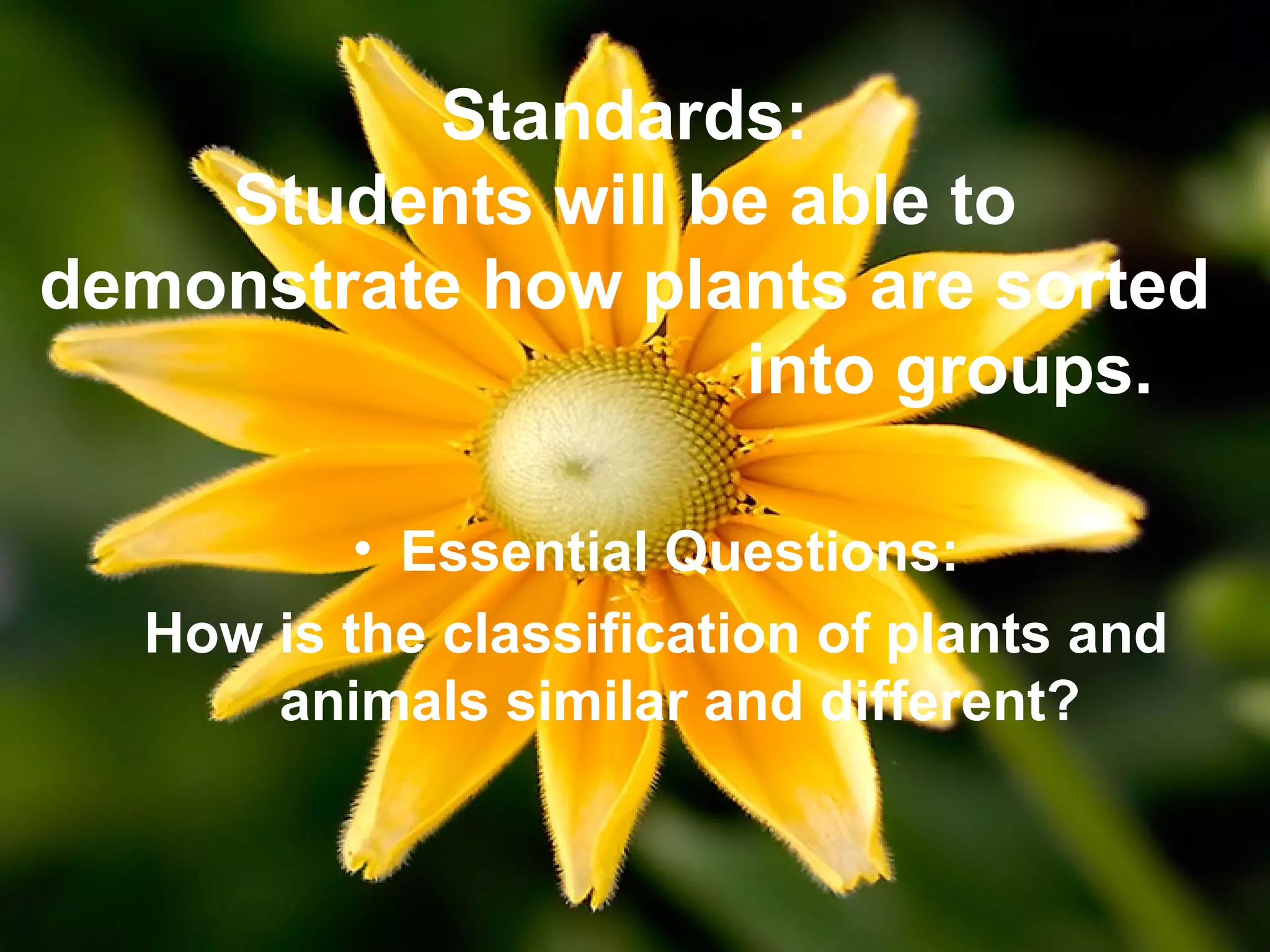 Vascular nonvascular plants | PPT