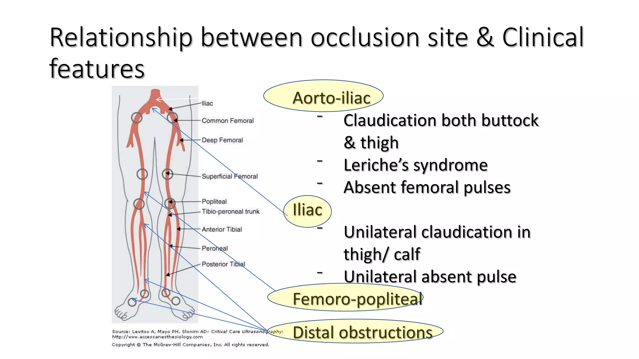 vascular & ortho.pptx