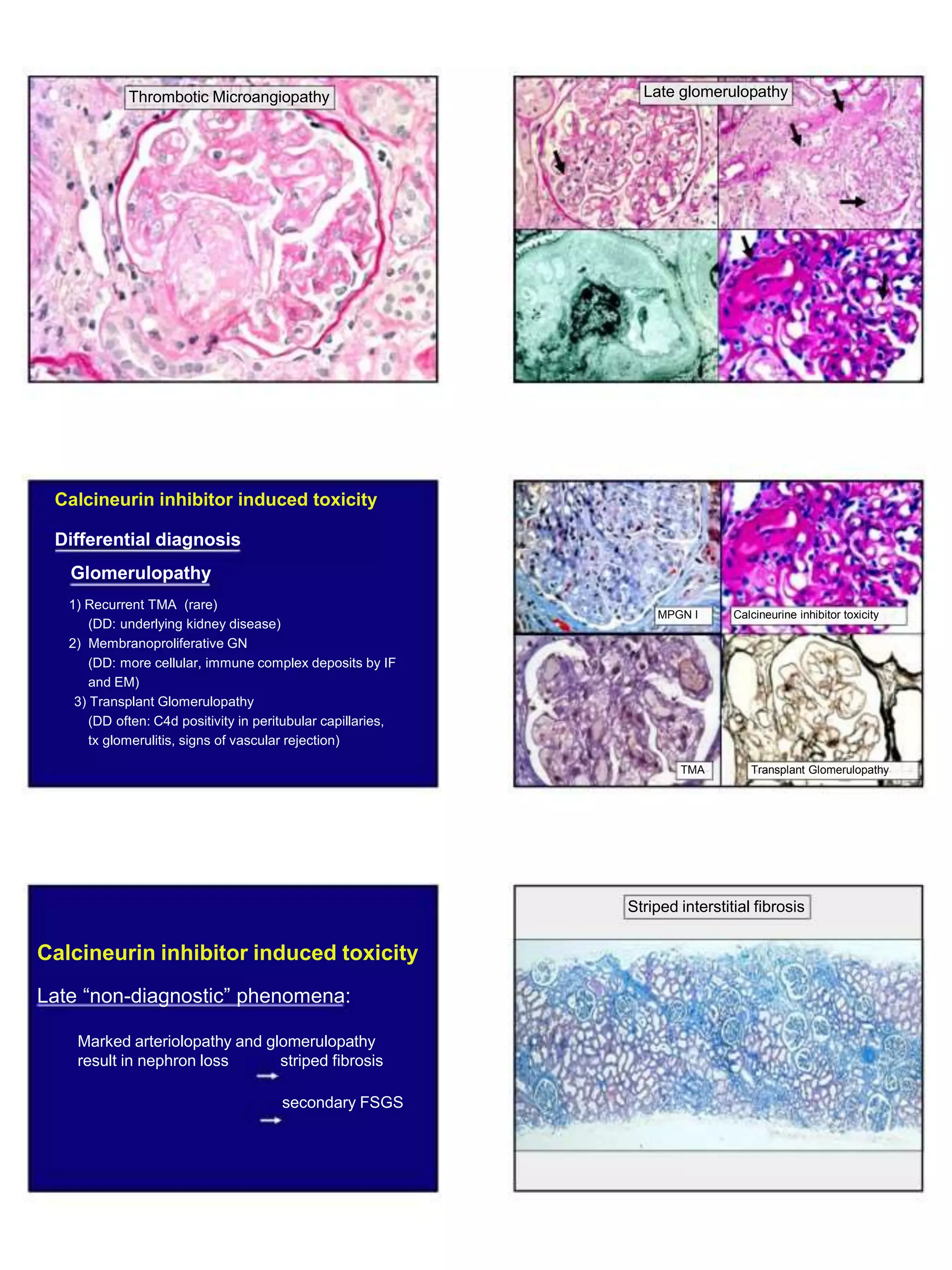 Vascular pathology | PDF