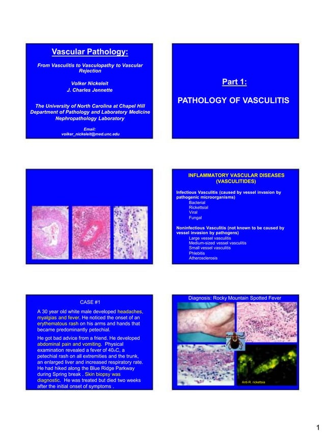 Vascular pathology | PDF
