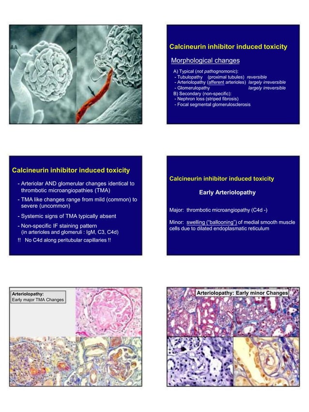 Vascular pathology | PDF