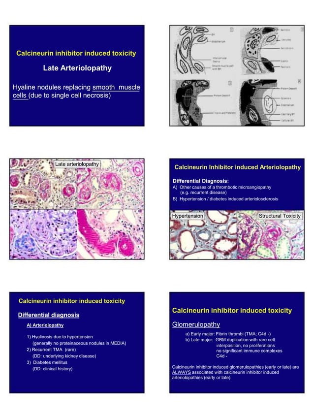 Vascular pathology | PDF