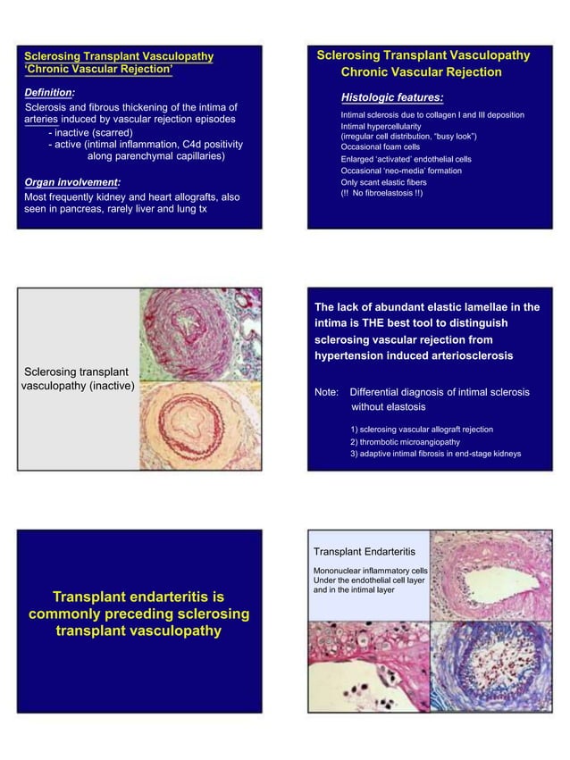 Vascular pathology | PDF