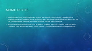 VASCULAR PLANTS :) | PPTX