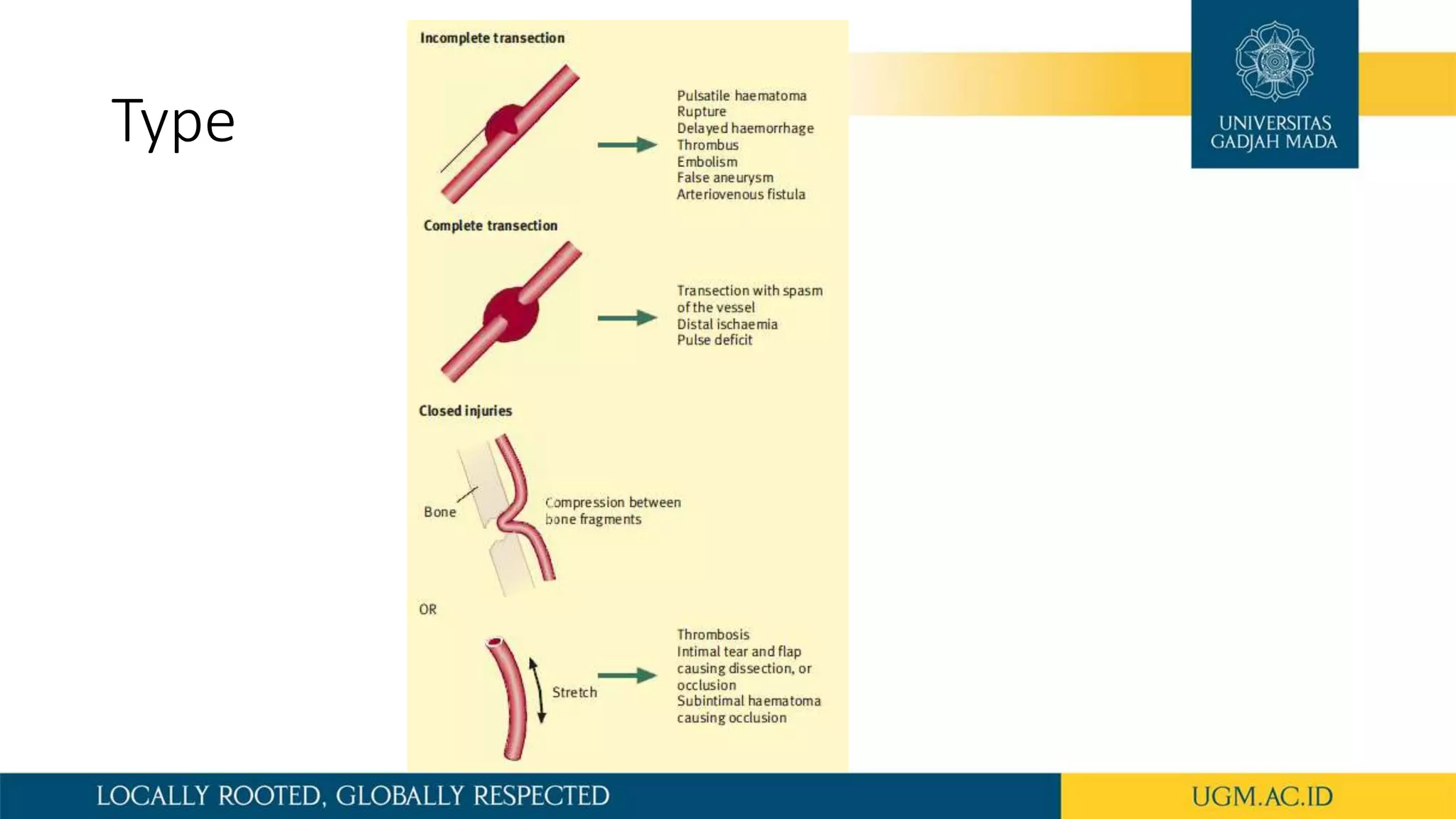 Vascular repair.pptx