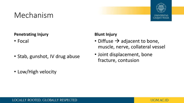 Vascular repair.pptx