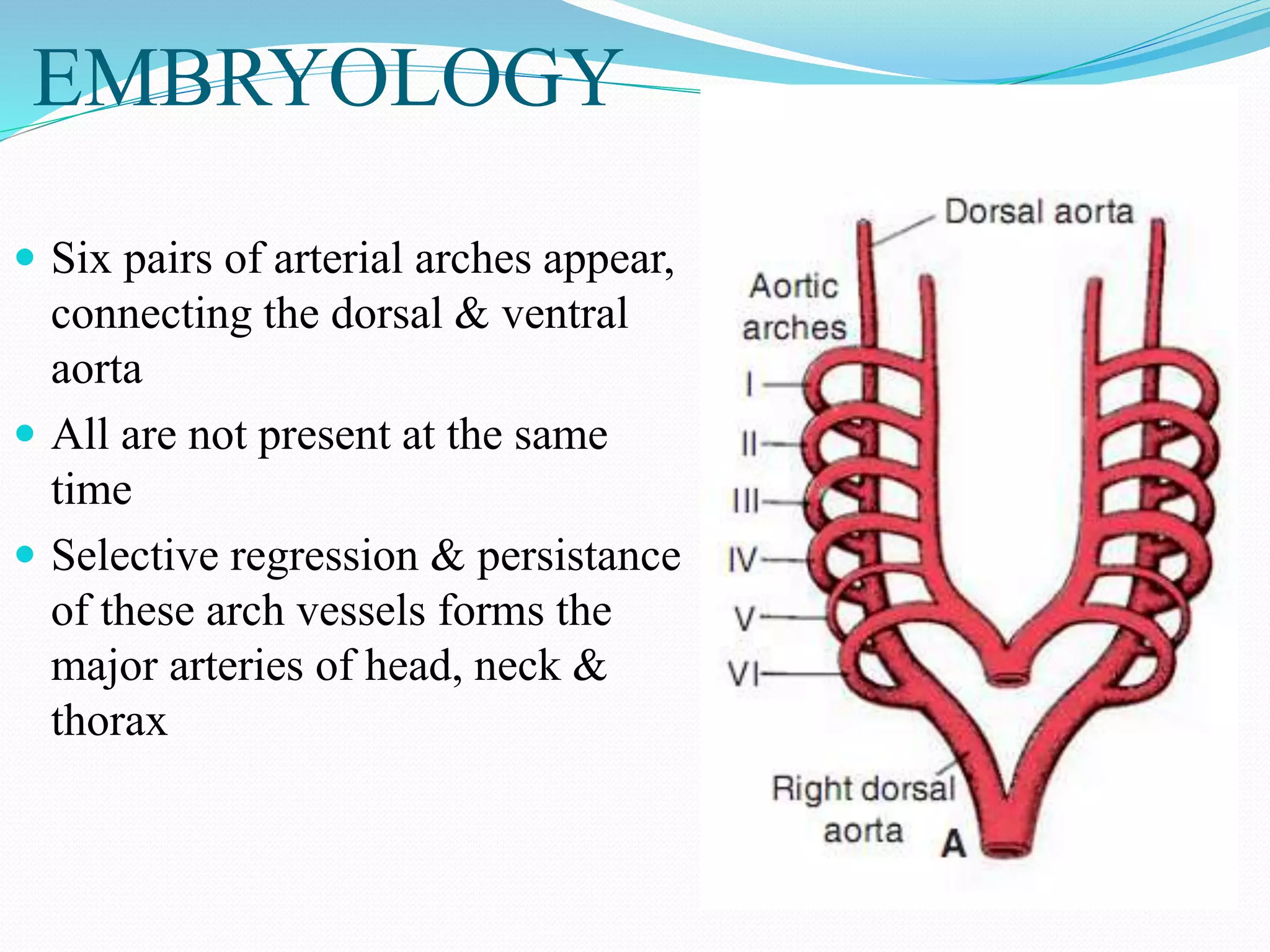 Vascular ring & Sling | PPTX