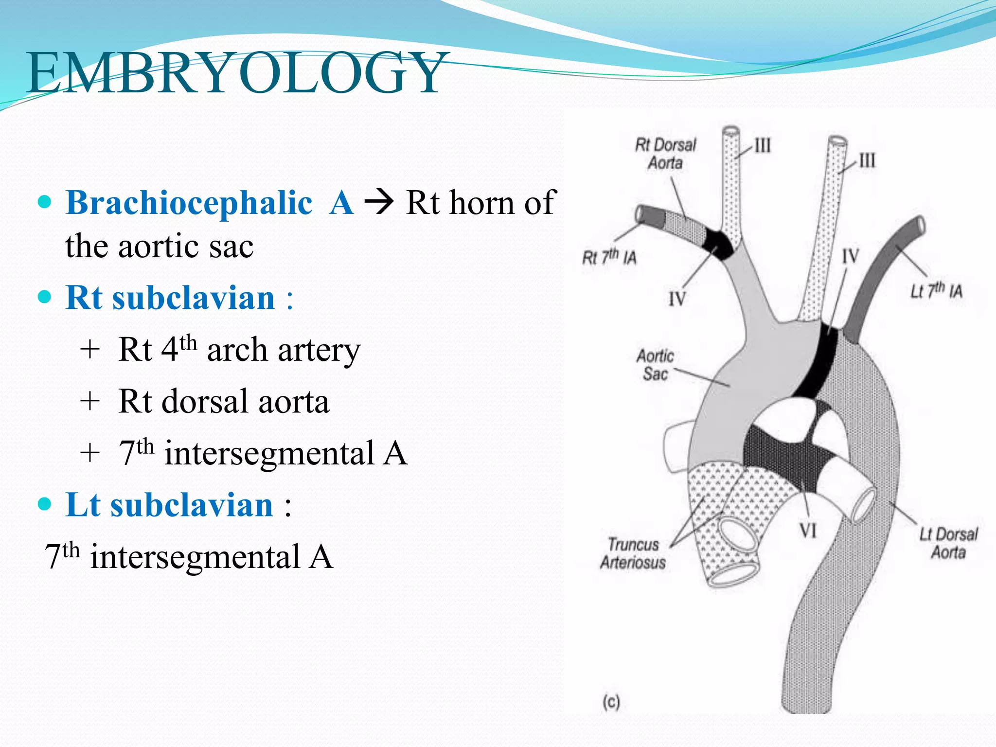 Vascular ring & Sling | PPTX