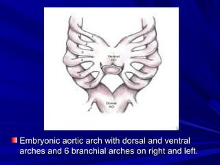 Vascular anomaly | PPT