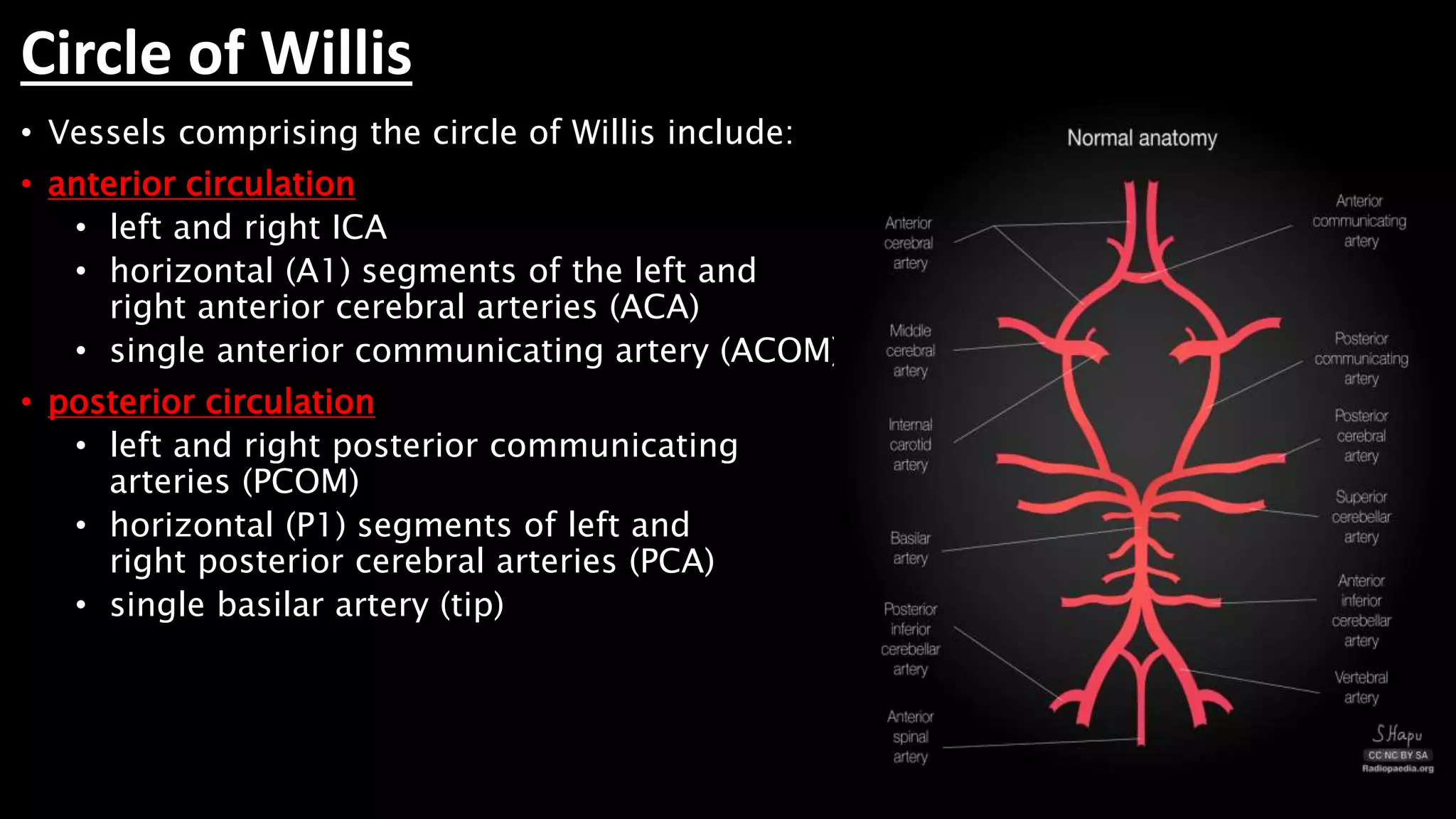 vascular supply of brain | PPTX