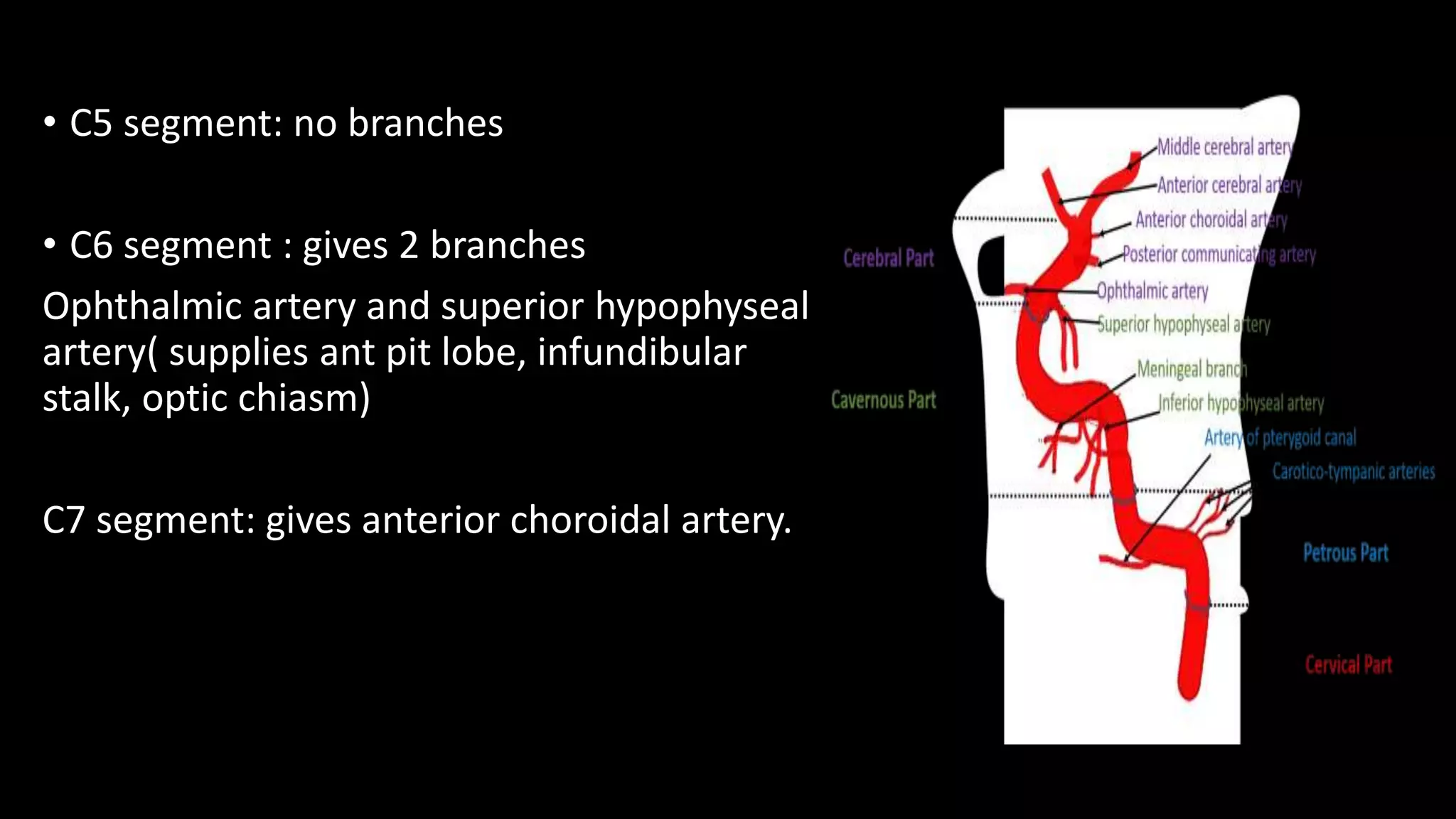 vascular supply of brain | PPTX