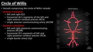 vascular supply of brain | PPTX