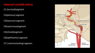 vascular supply of brain | PPTX