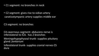 vascular supply of brain | PPTX