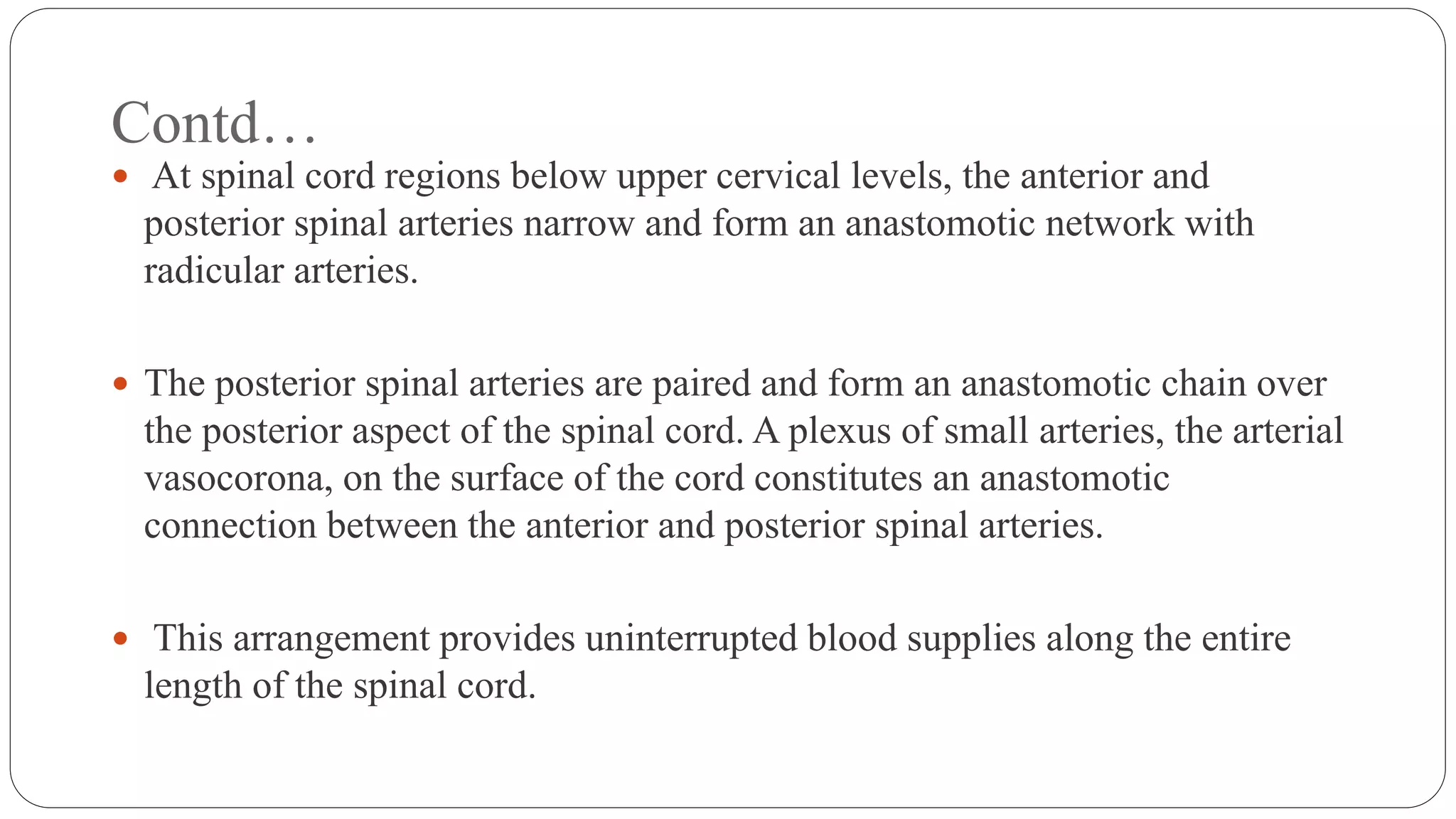 Vascular supply of spinal cord dr bikal | PPTX