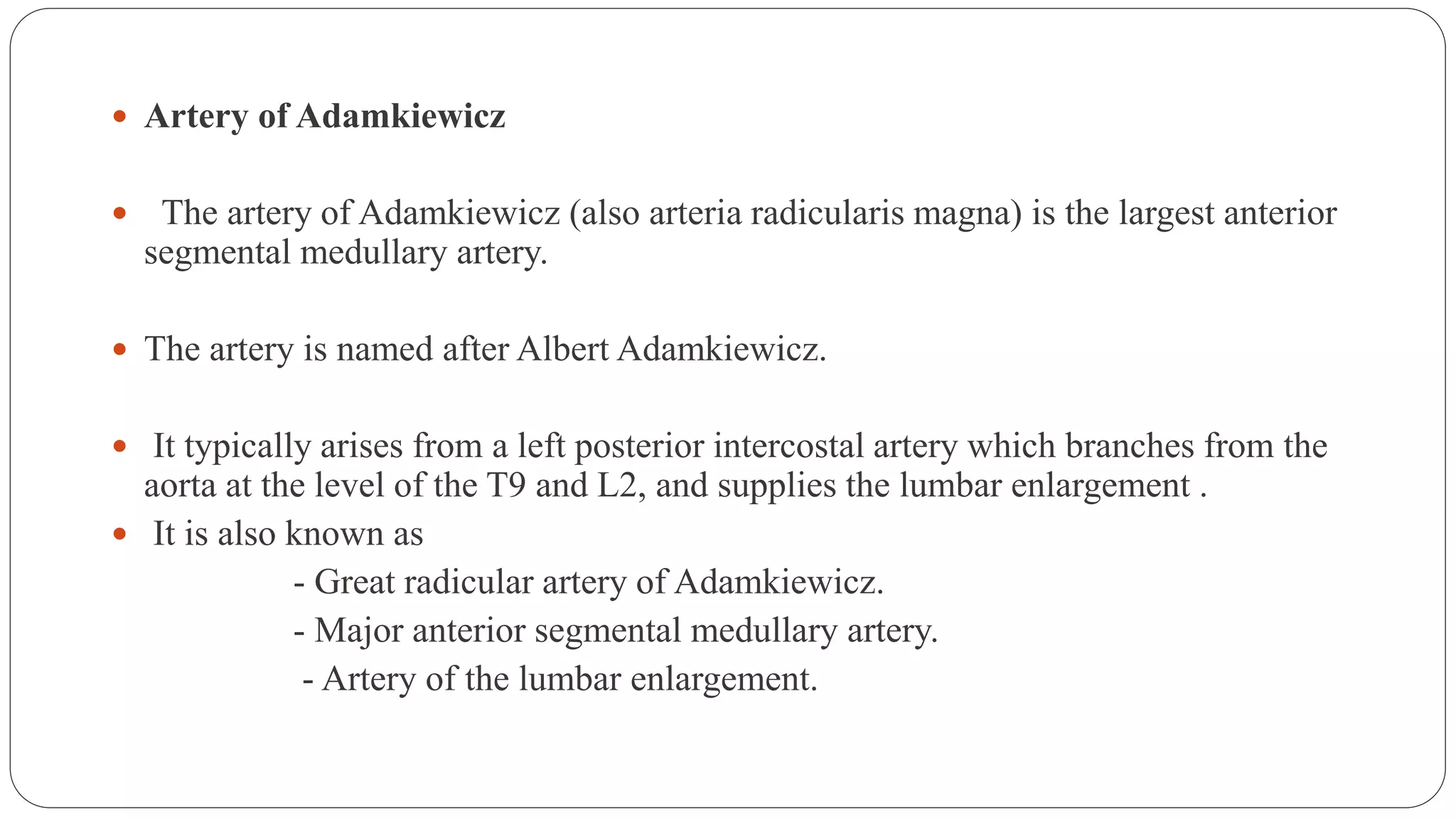 Vascular supply of spinal cord dr bikal | PPTX