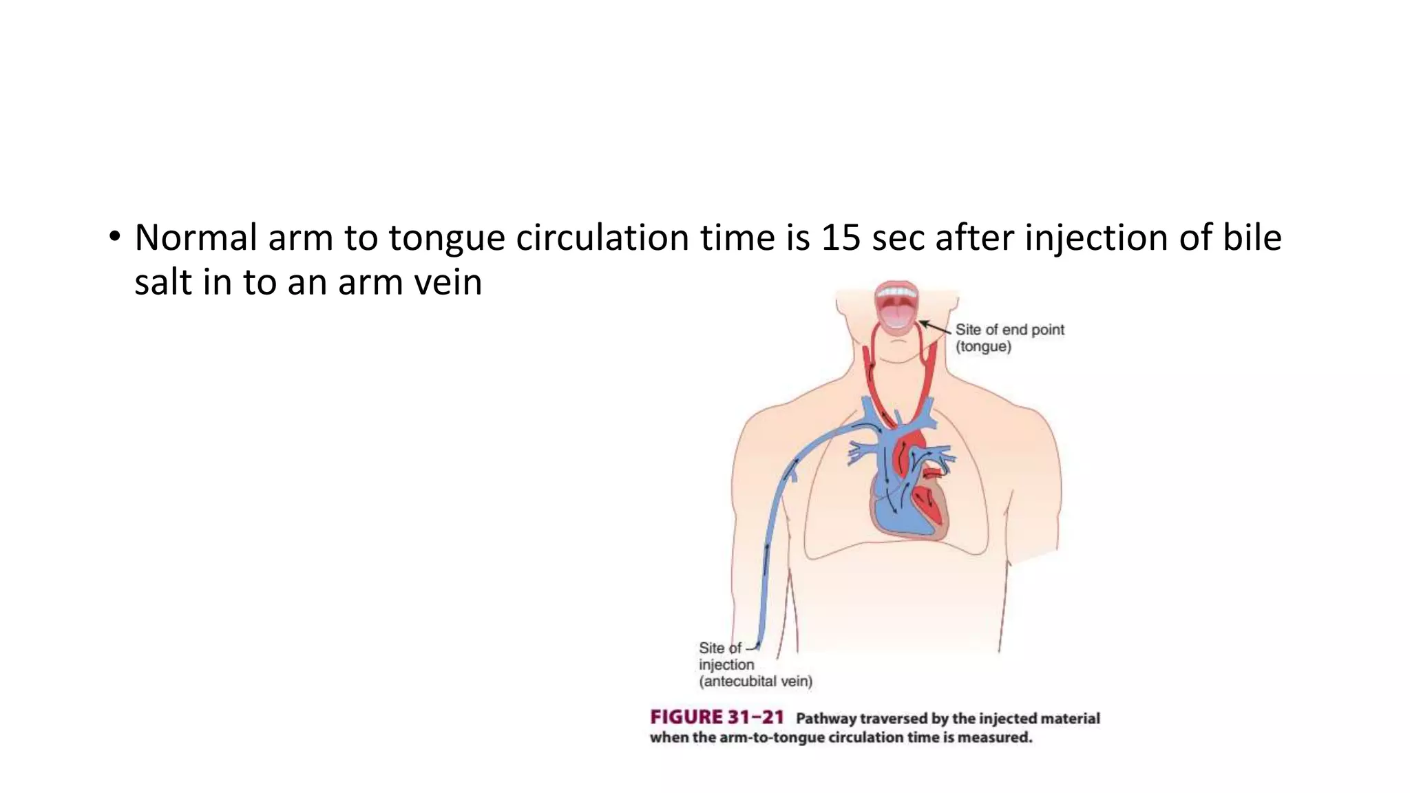 Vascular system physiology | PPTX