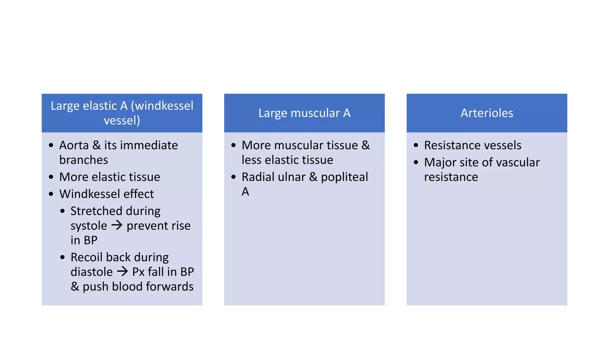 Vascular system physiology | PPTX