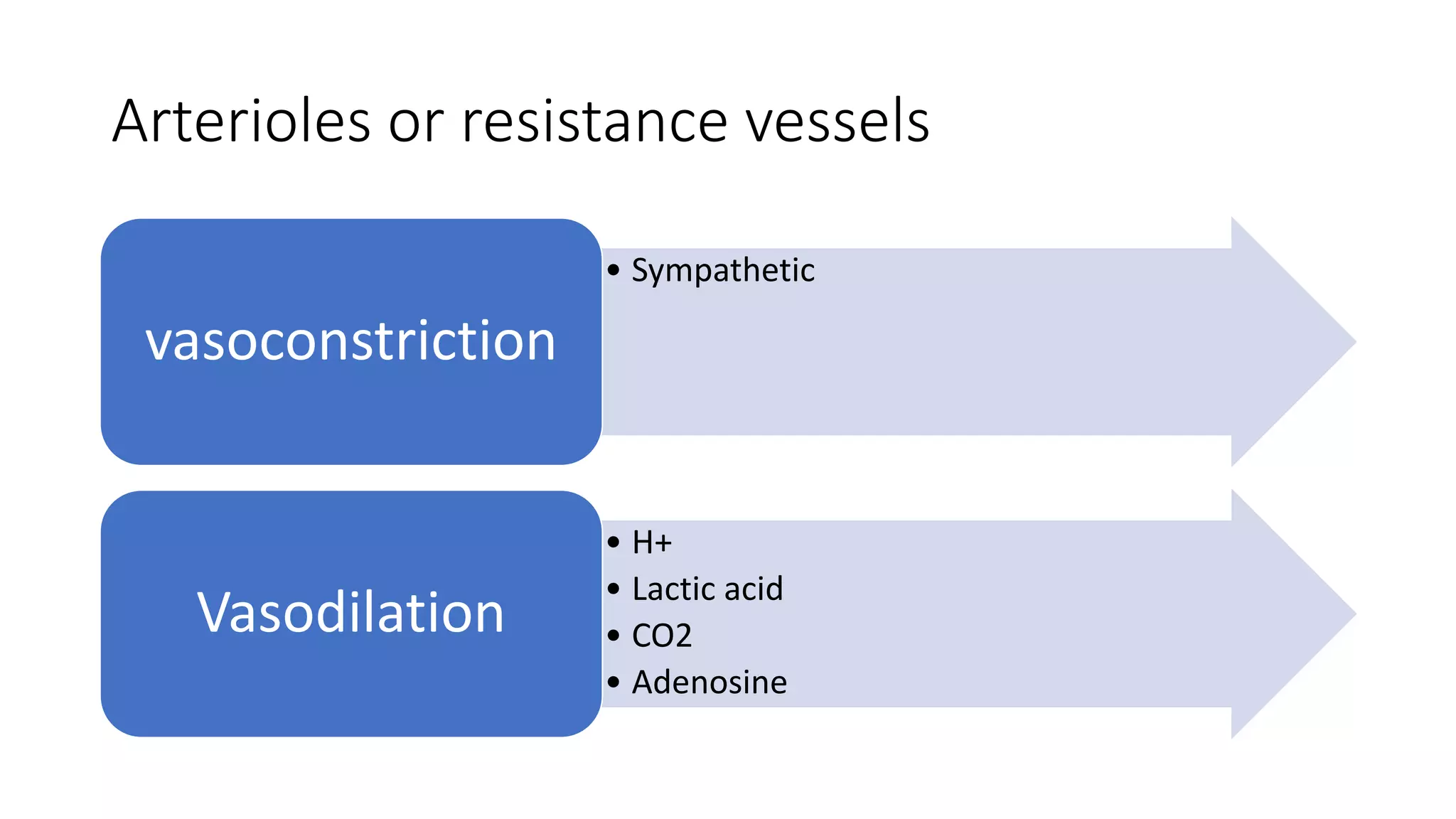 Vascular system physiology | PPTX