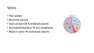 Vascular system physiology | PPTX